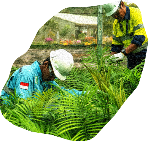 Sustainability | AMMAN